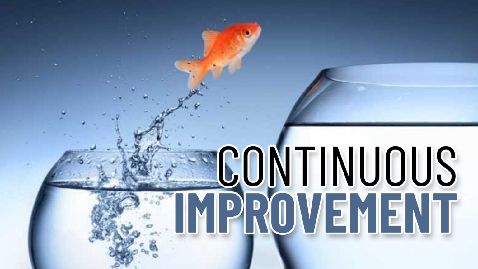Continuous Improvement | Food Quality & Safety | haccp.com