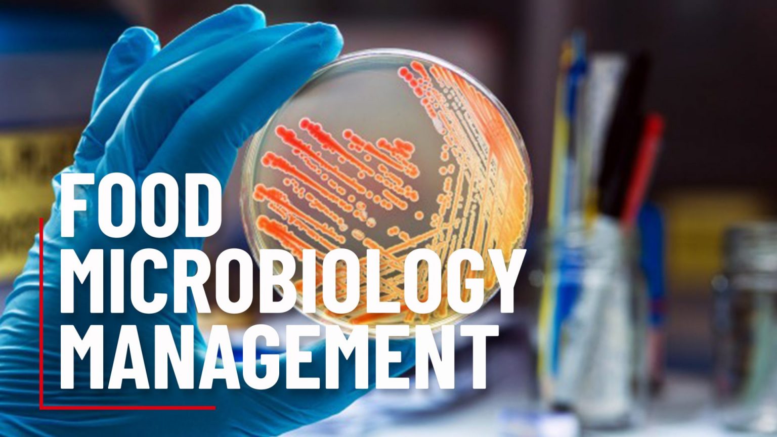 Food Microbiology Management | Food Quality & Safety | haccp.com