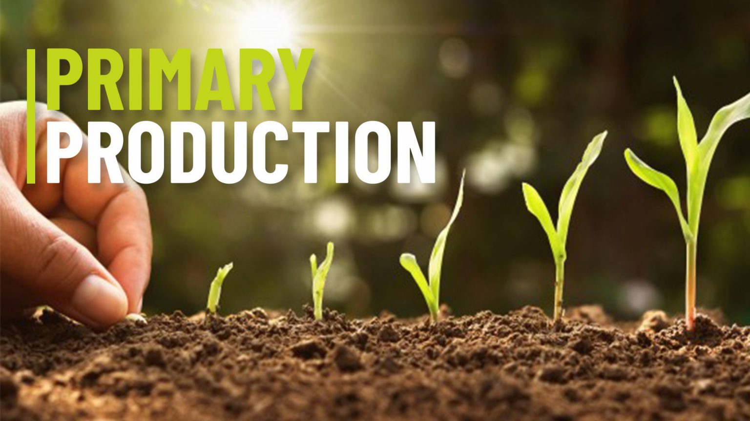 Primary Production | Food Quality & Safety | haccp.com